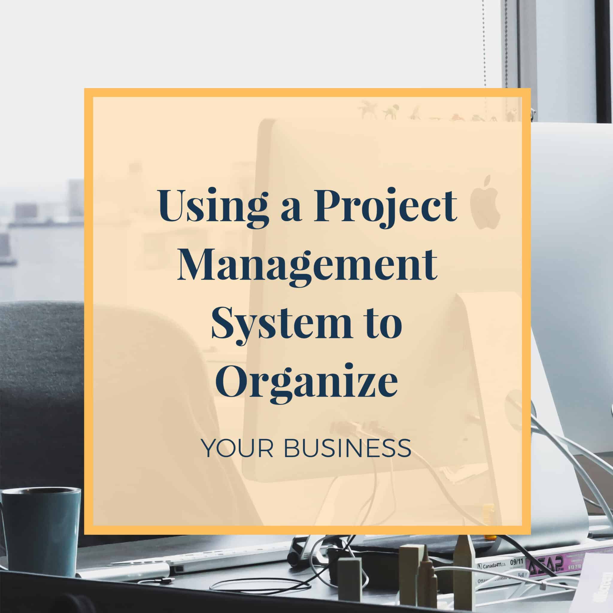 Using a Project Management System to Organize Your Business