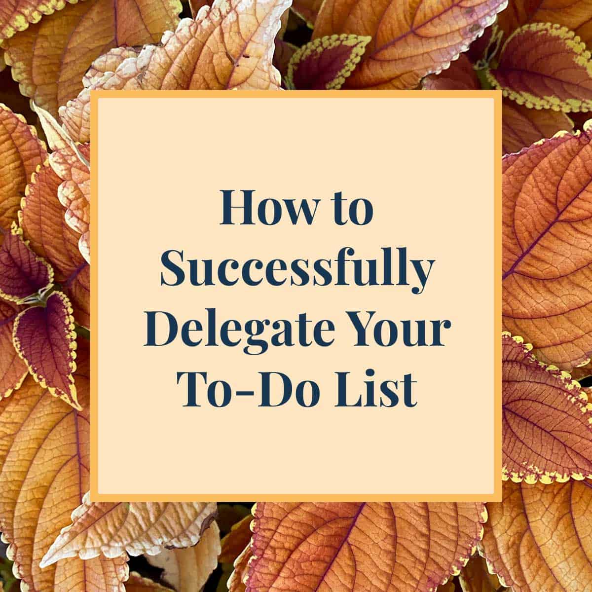 How to Successfully Delegate Your To-Do List + Free Download - Jennie ...